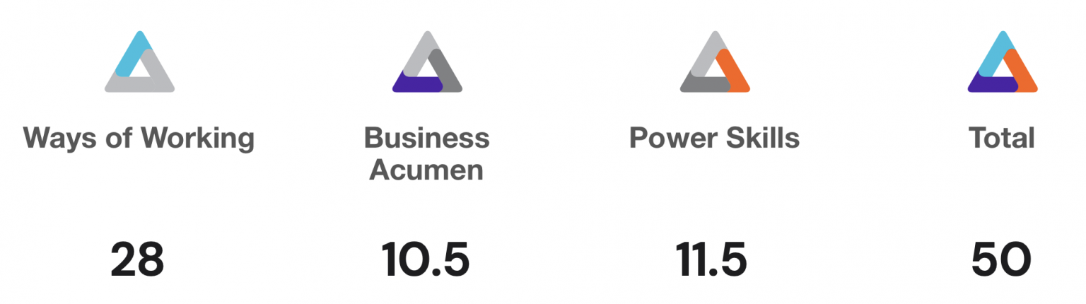 50 PDUs Bundle for PMP® Renewal - IMT-PM